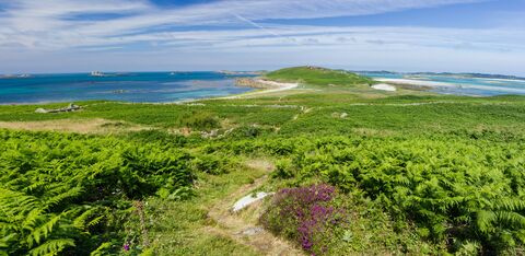 Activities on our land | Isles of Scilly Wildlife Trust