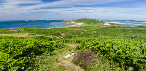 Please help us Keep Scilly Special | Isles of Scilly Wildlife Trust