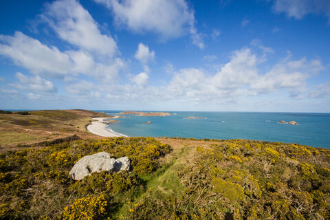 St Martin's | Isles of Scilly Wildlife Trust