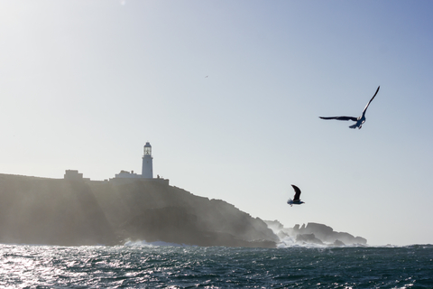 Pentle Bay to Round Island | Isles of Scilly Wildlife Trust