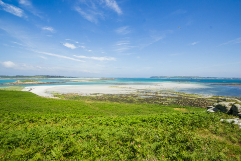 Samson | Isles of Scilly Wildlife Trust