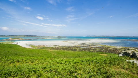 Samson | Isles of Scilly Wildlife Trust