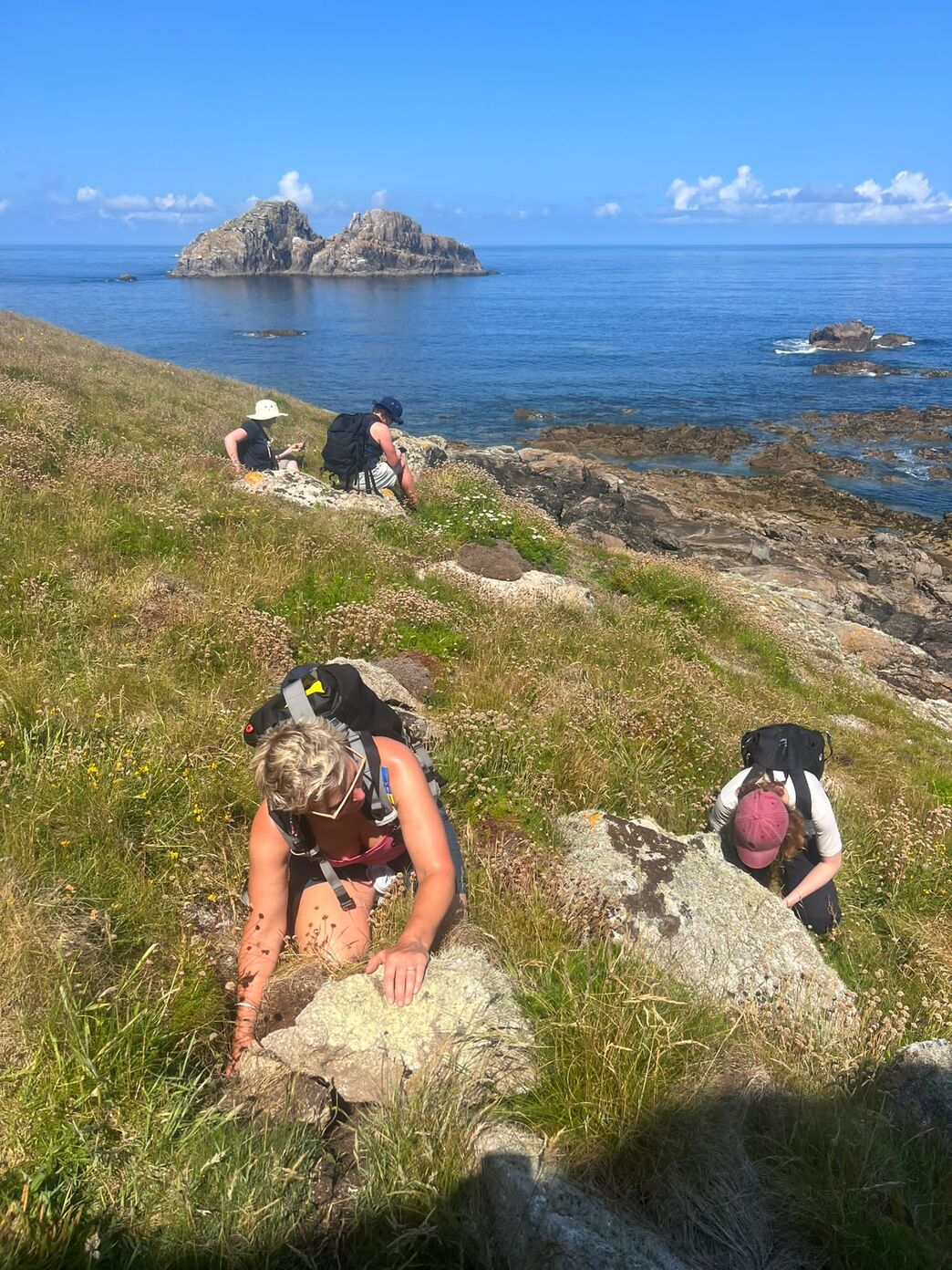 A Scilly Summer Seabird Season | Isles of Scilly Wildlife Trust