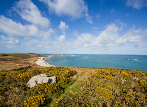 Teän | Isles of Scilly Wildlife Trust